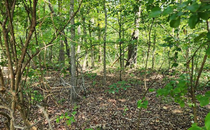 000 RED ASH RD Holladay TN 38341 | Crexi.com