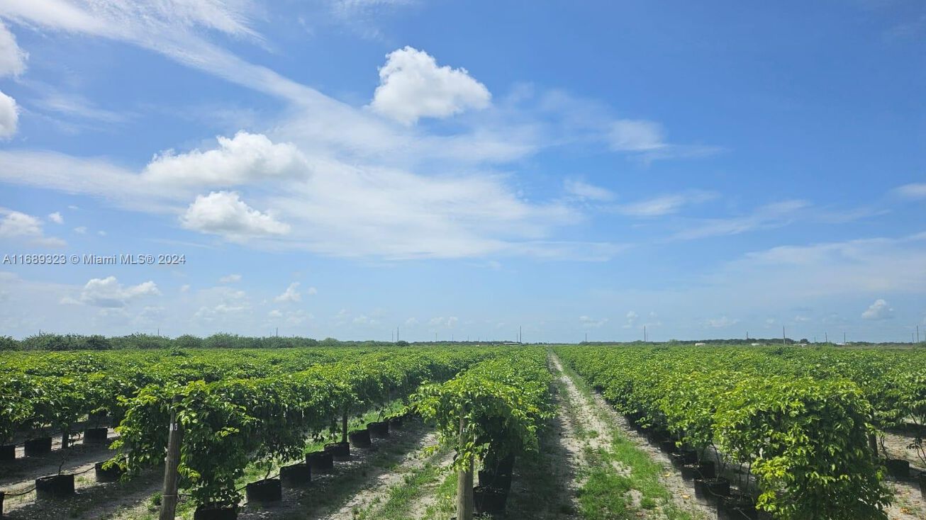 Sears Rd 6101 6th, La Belle, FL 33935 | Crexi.com