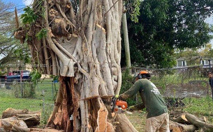 Tree Services, Miami, FL 33183 | Crexi.com