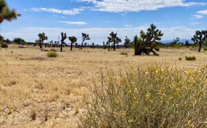 120 Warren Vista Ave, Yucca Valley, CA 92284 | Crexi.com