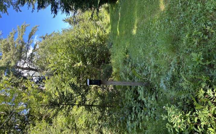 Whitmore Brook Rd, Chester, VT 05143 | Crexi.com