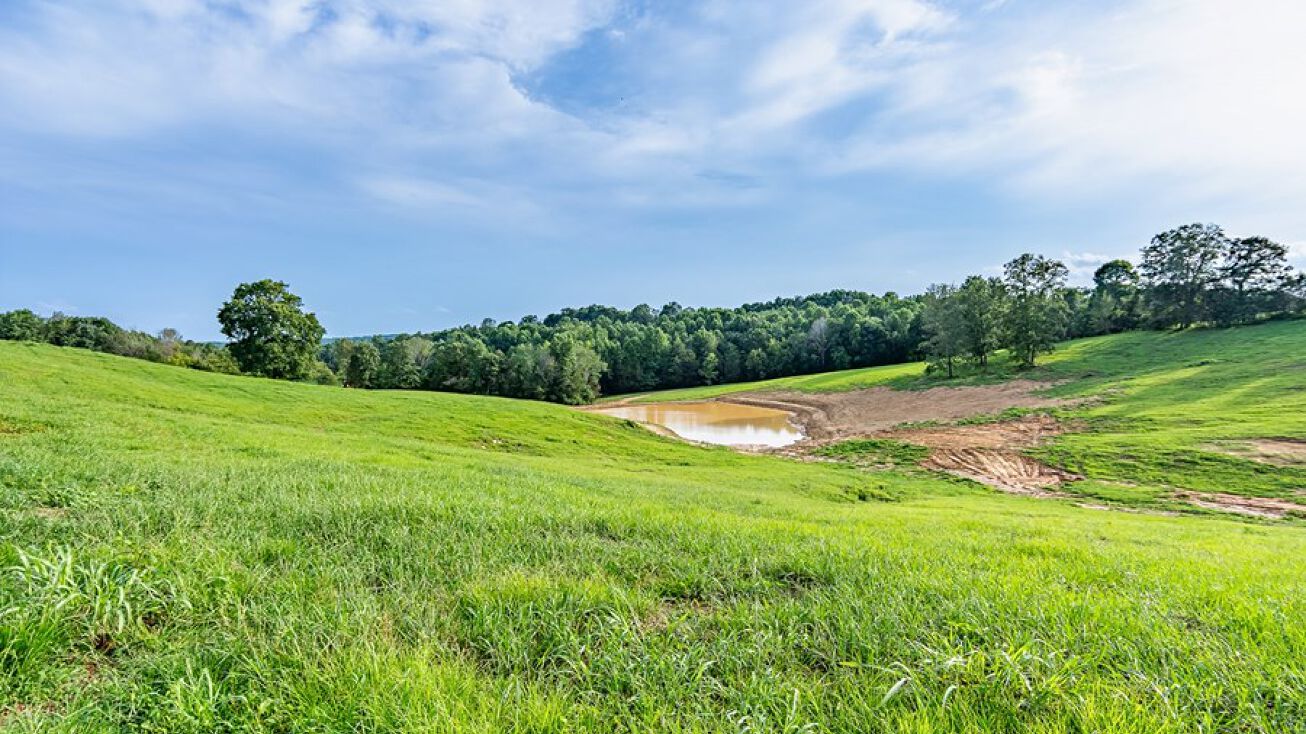 Tract 11 of the Legacy Trace, Peytonsburg, KY 42717 | Crexi.com