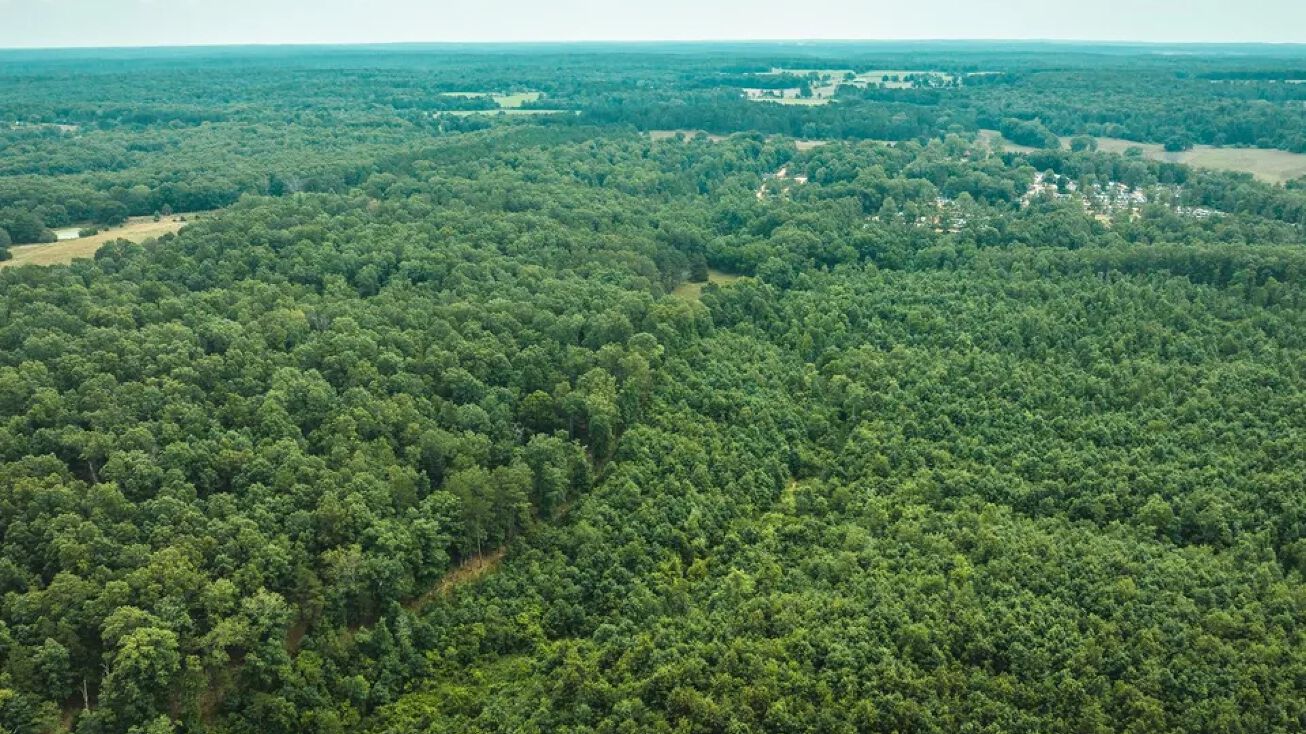 Land For Sale Redmondville at Samuel Moysey blog