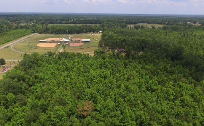 23288 CO RD 12 Bristol FL 32321 | Crexi.com