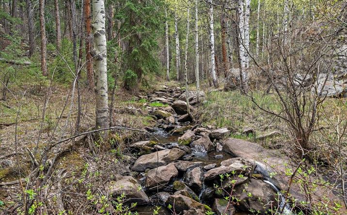 Indian Springs Rd, Foxton, CO 80433 | Crexi.com