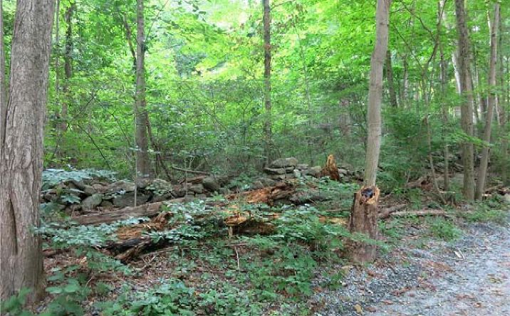 0 Desmond Road, East Haddam, CT 06423 | Crexi.com