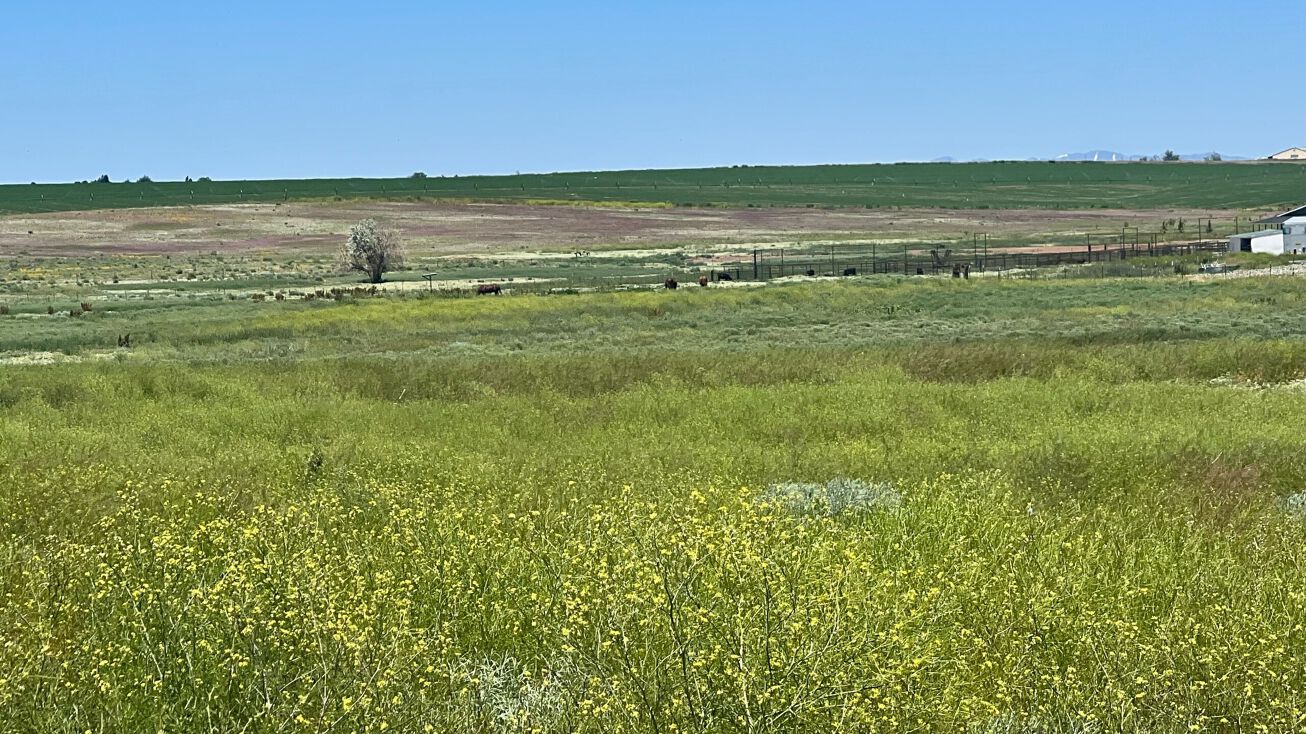 18606 Rd Z, Yellow Jacket, CO 81335 | Crexi.com