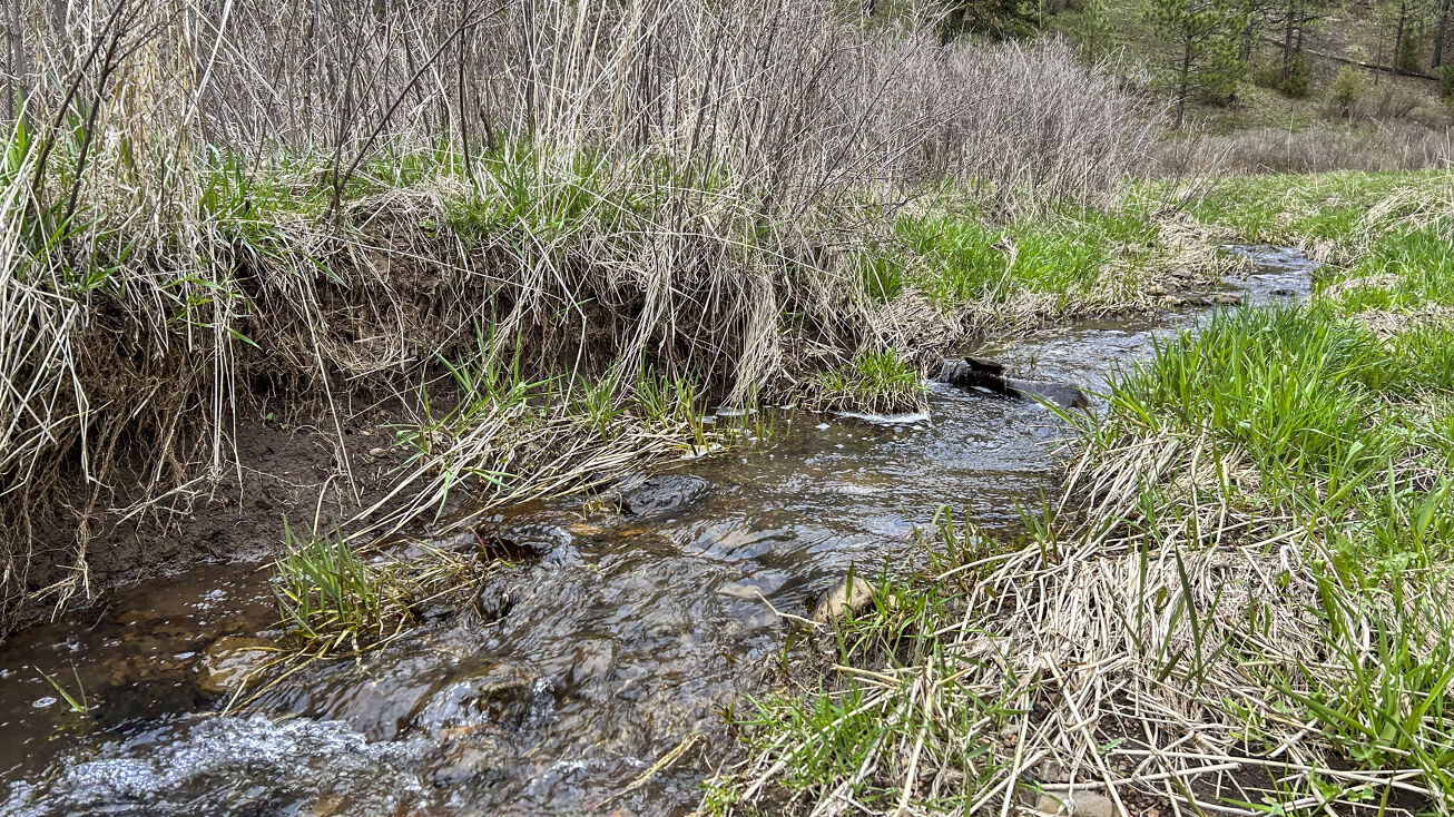TBD Rieman Rd, Keuterville, ID 83522 | Crexi.com