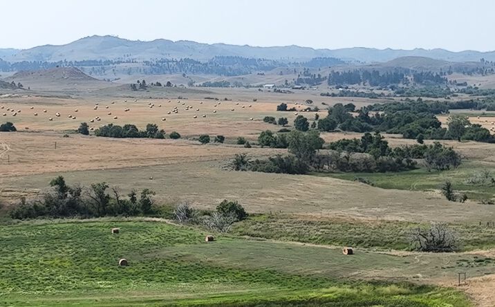 100 STACEY RD Volborg MT 59351-9534 APN: 09-0949-24-1-03-01-0000 ...