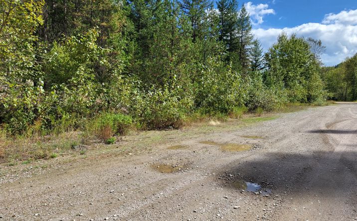 NHN SILVER CREEK RD Saltese MT 59867 APN: 54285314101010000 | Crexi.com