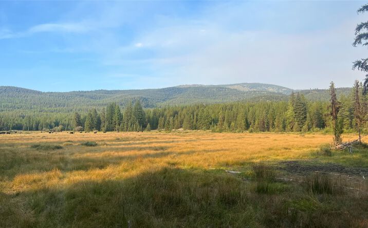 NHN MEADOW PEAK DR LOT 23 Libby MT 59923 | Crexi.com
