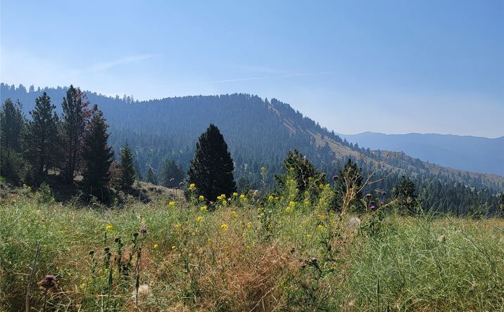 nhn 2 Sapphire Ranch Trail, Corvallis, MT 59828 | Crexi.com