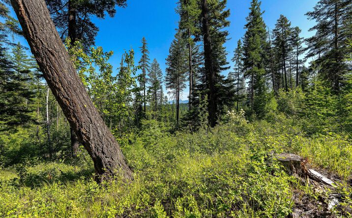 678 Saddlehorn Trail, Bigfork, MT 59911 | Crexi.com