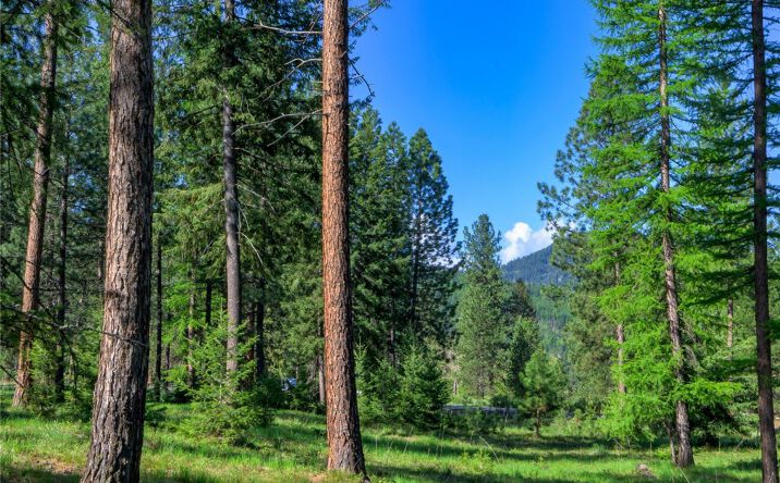 NHN River Run Loop Road, Saint Regis, MT 59866 | Crexi.com NHN River Run Loop Road, Saint Regis, MT 59866 | Crexi.com