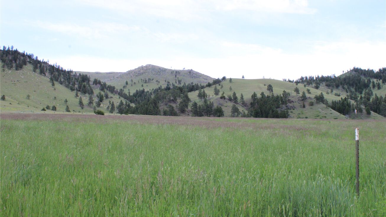 NHN Jimmy Green Road, East Helena, MT 59635 | Crexi.com