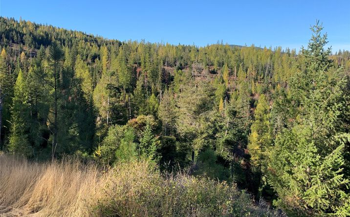 108 Conley Court, Kila, MT 59920 | Crexi.com