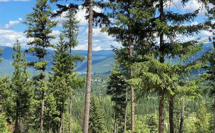 NHN Panoramic View Drive, Libby, MT 59923 | Crexi.com