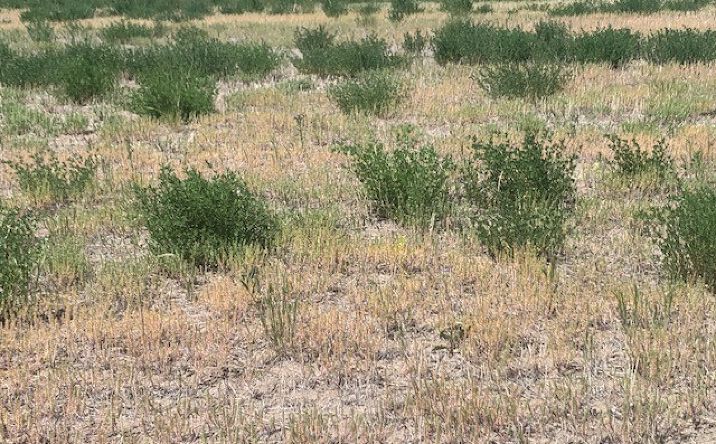 Unk W Ulm Road, Ulm, MT 59485 | Crexi.com