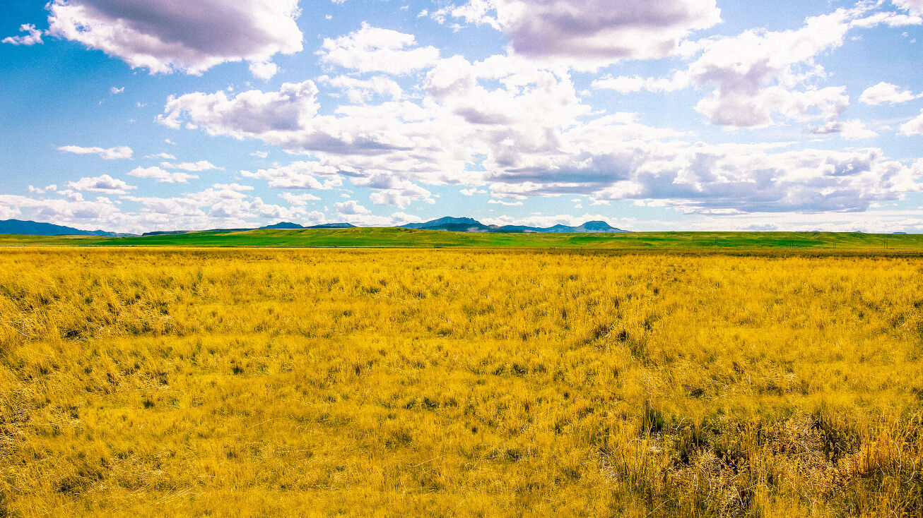 3A Old Ulm Cascade Road, Cascade, MT 59421 | Crexi.com