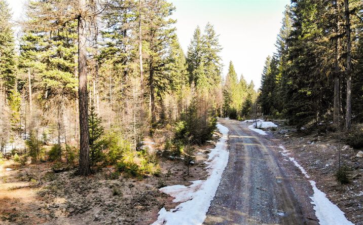270 Tomahawk Trail, Fortine, MT 59918 | Crexi.com