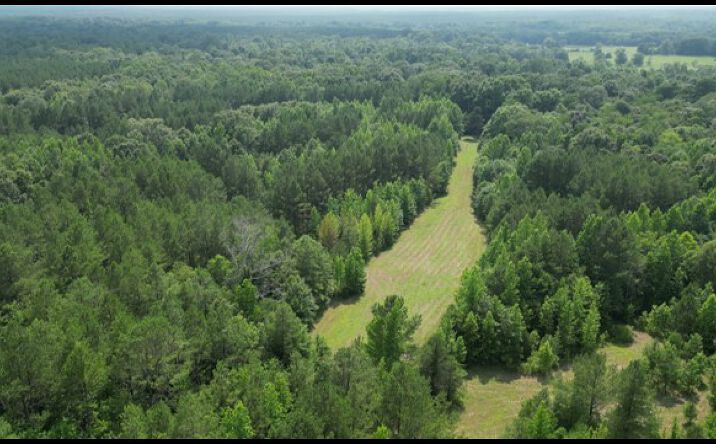 223 Acres in Holmes, Pickens, MS 39146 | Crexi.com