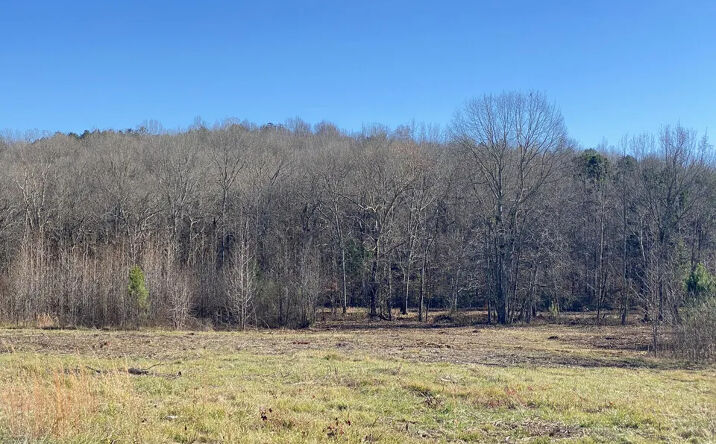 000 Mountain Star Rd, Littleville, AL 35654 | Crexi.com