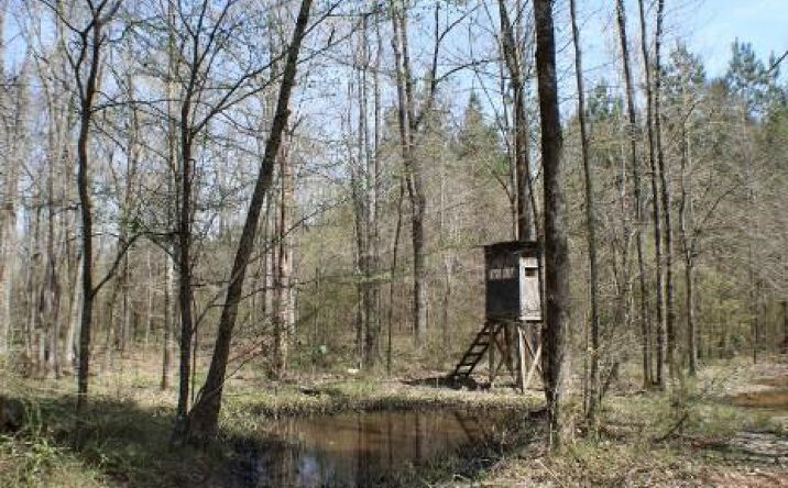 54 Acres in Leake County in Carthage, MS, Carthage, MS 39051 | Crexi.com