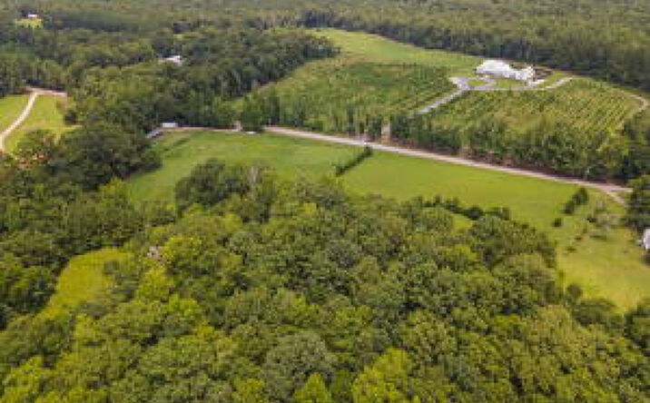 0 Dutch Fork Irmo, Irmo, SC 29063 | Crexi.com