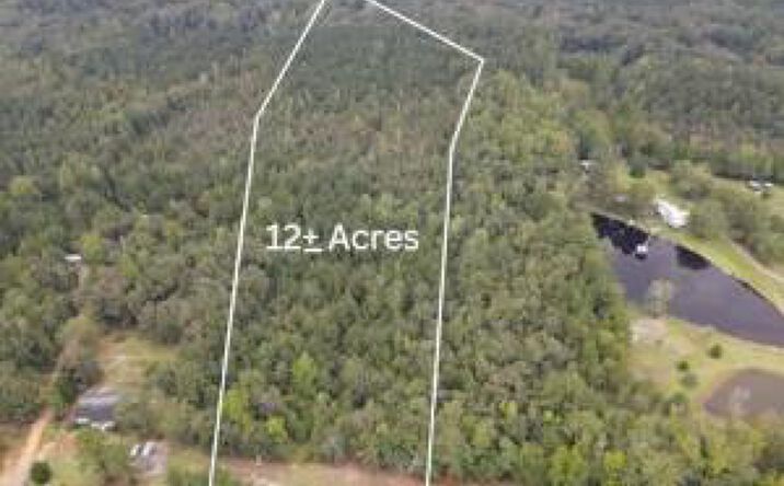 0 Cumbee Trail, Ridge Spring, SC 29129 | Crexi.com