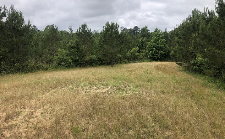 38 Acres in Attala County in Sallis, Sallis, MS 39160 | Crexi.com