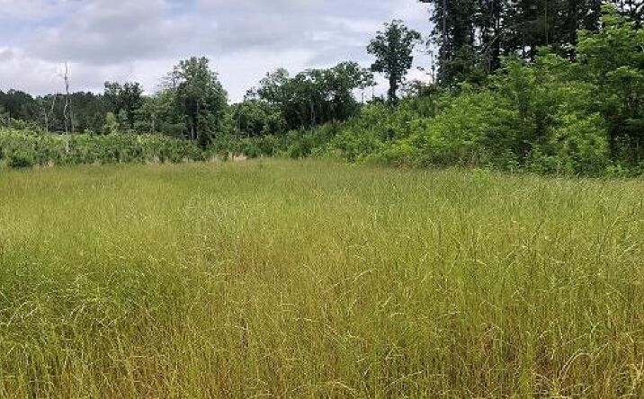 34.2 Acres in Attala County, Sallis, MS 39160 | Crexi.com