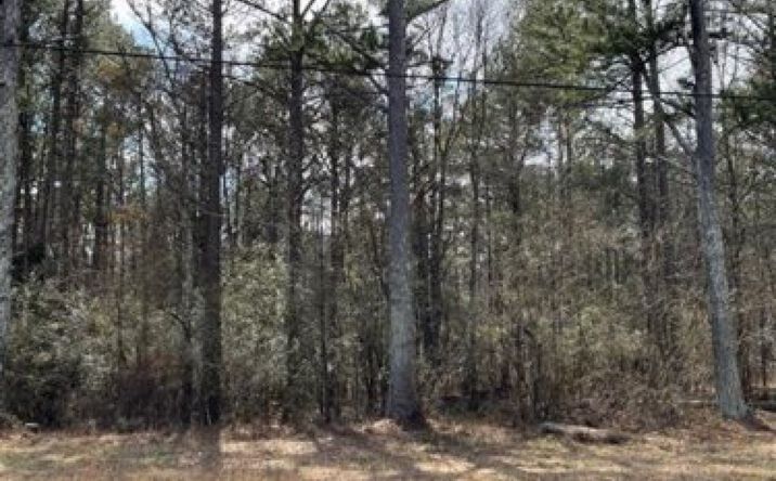 80-100 Doc Turner Wy, Newnan, GA 30263 | Crexi.com