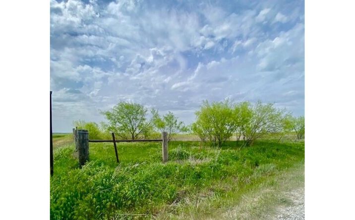 1780 MCDONALD RD Bellevue TX 76228-2486 APN: 11692 | Crexi.com