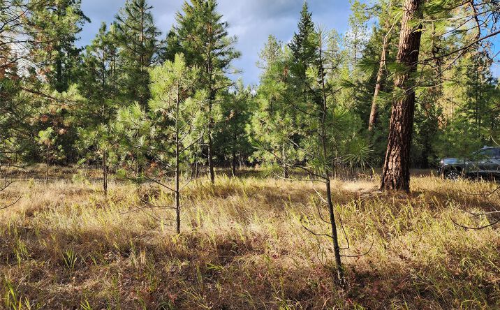 KNA Highway 37, Libby, MT 59923 | Crexi.com