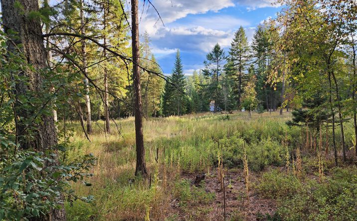 nka Shalom Drive, Libby, MT 59923 | Crexi.com