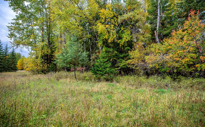 385 Haskill Basin Road, Whitefish, MT 59937 | Crexi.com