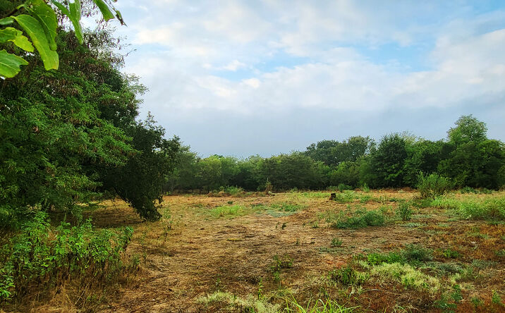 TX-34, Quinlan, TX 75474 | Crexi.com