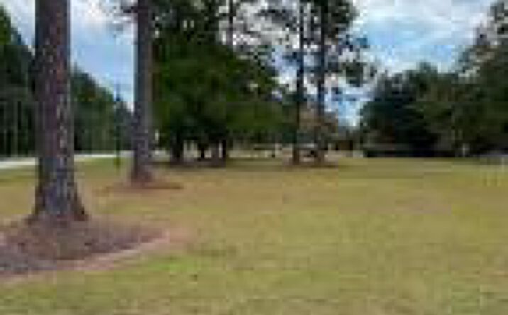 Railroad Avenue, Bamberg, SC 29003 | Crexi.com