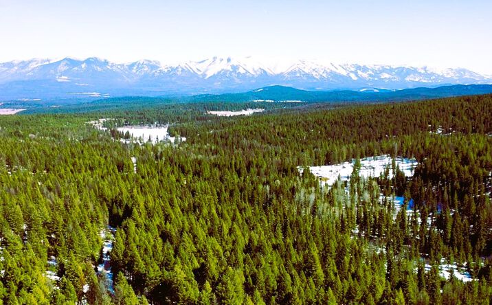 Nhn Buckskin Trail, Fortine, MT 59918 | Crexi.com