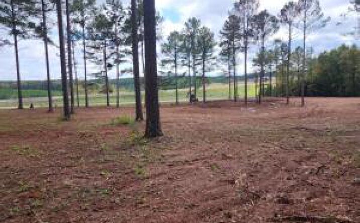 242 Persimmon Drive, Saluda, SC 29138 | Crexi.com
