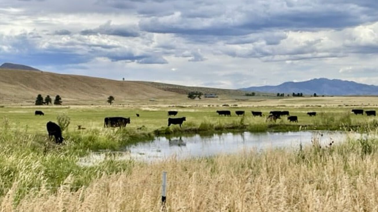 South Creek Ranch, California, CA 95960 | Crexi.com