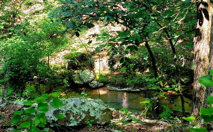 Lot 17 Fern Trail, Fairfield Bay, AR 72088 | Crexi.com
