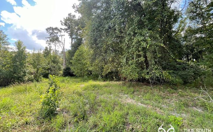 TBD SLATER OAKS RD Jasper SC 29916 | Crexi.com