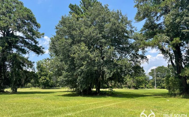 WHALE BRANCH DR Seabrook SC 29906 APN: R100 014 000 0165 0000 | Crexi.com