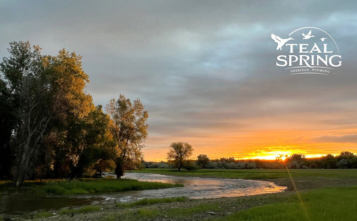 Teal Spring Subdivision, Sheridan, WY 82801 | Crexi.com