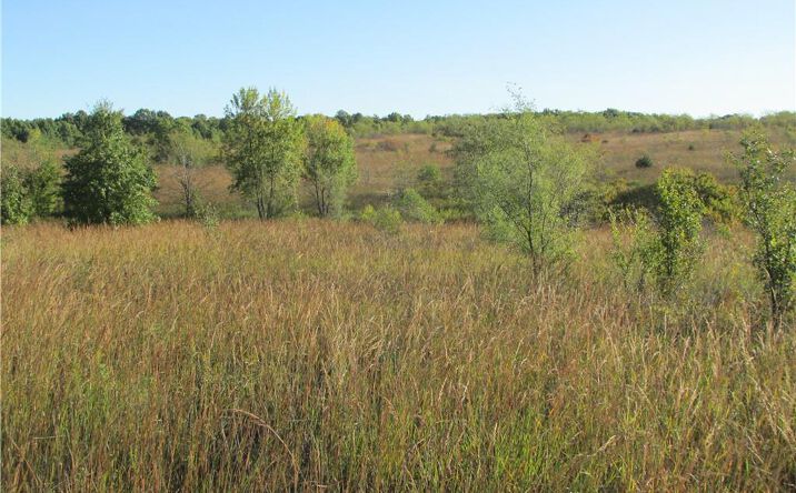 0003 LIV 259 Road, Chillicothe, MO 64601 | Crexi.com