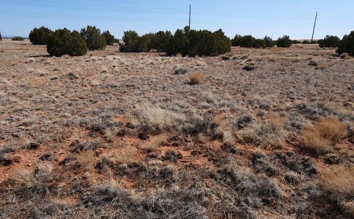 Richard Dr, Snowflake, AZ 85937 | Crexi.com