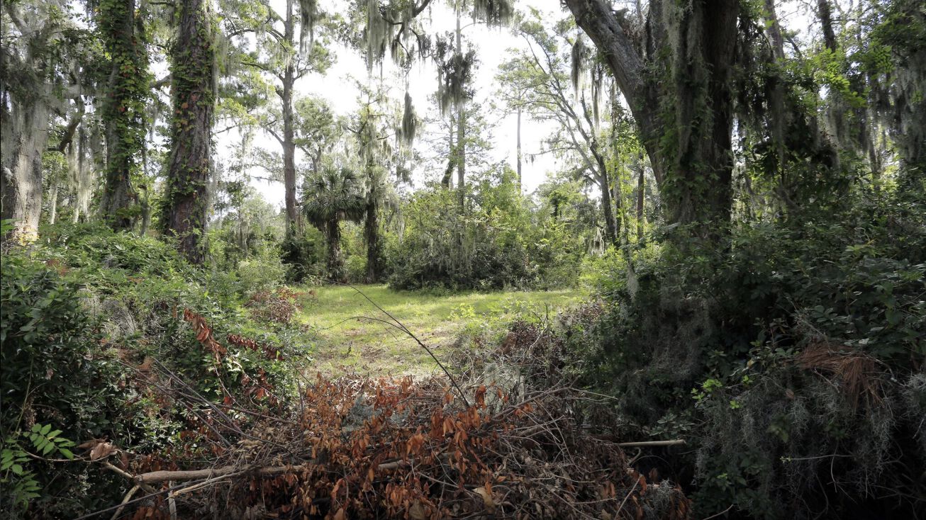 10602 White Bluff Rd, Savannah, GA 31406 | Crexi.com