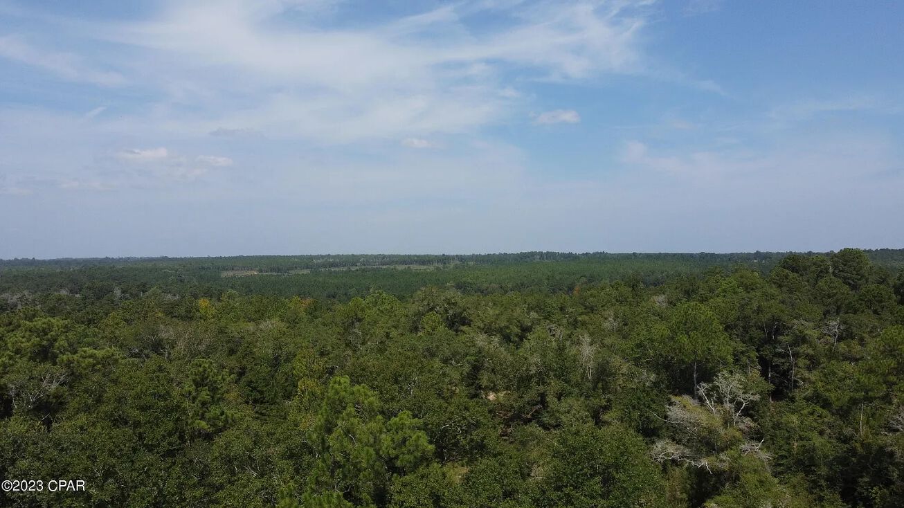 390 Finuff Rd, Chattahoochee, FL 32324 | Crexi.com