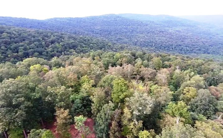 Beautiful side of the Mountain 50 Acres, Huntland, TN 37345 | Crexi.com
